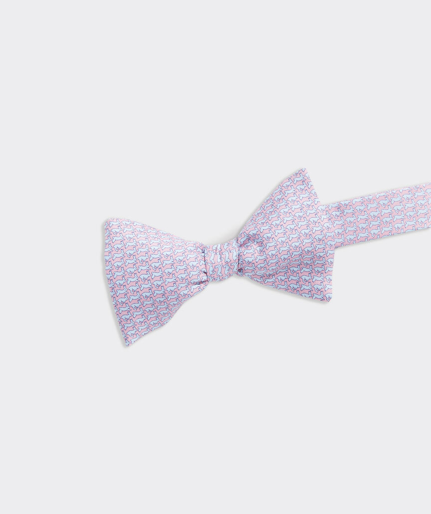 Shop Easter Rabbit Bow Tie at vineyard vines
