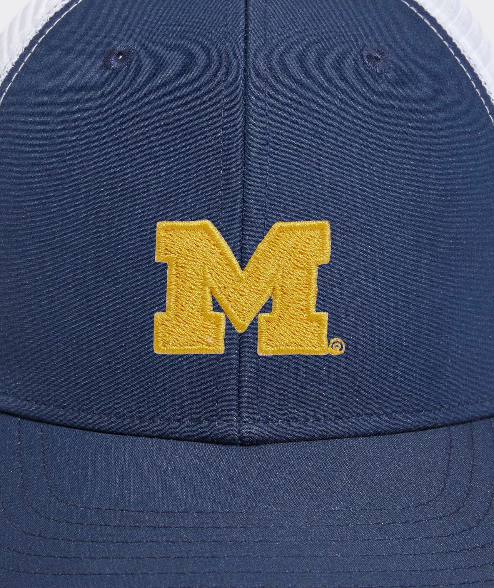 University of Michigan